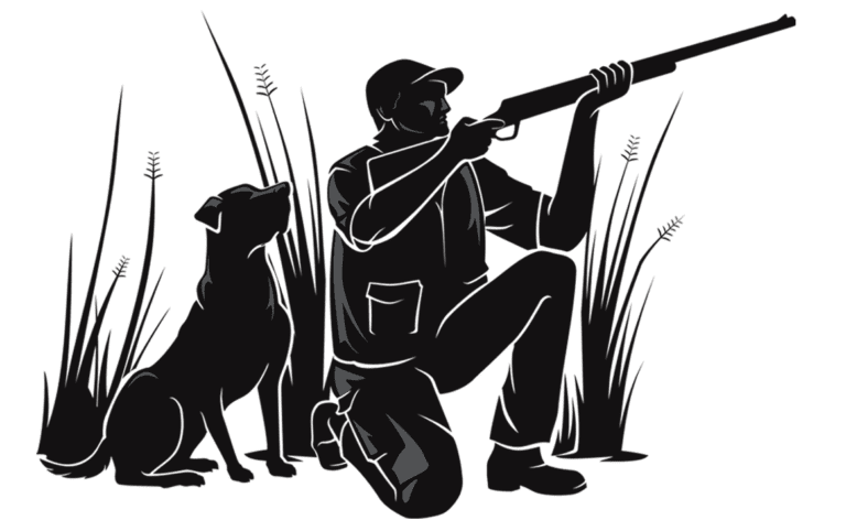 AZ CCW Online | Arizona Concealed Carry Class Online | AZ CCW Class